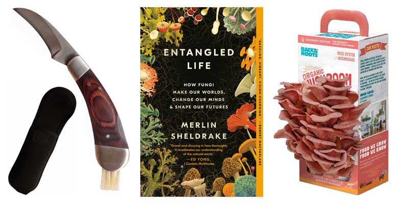 15 Incredible Ts For Mushroom Lovers